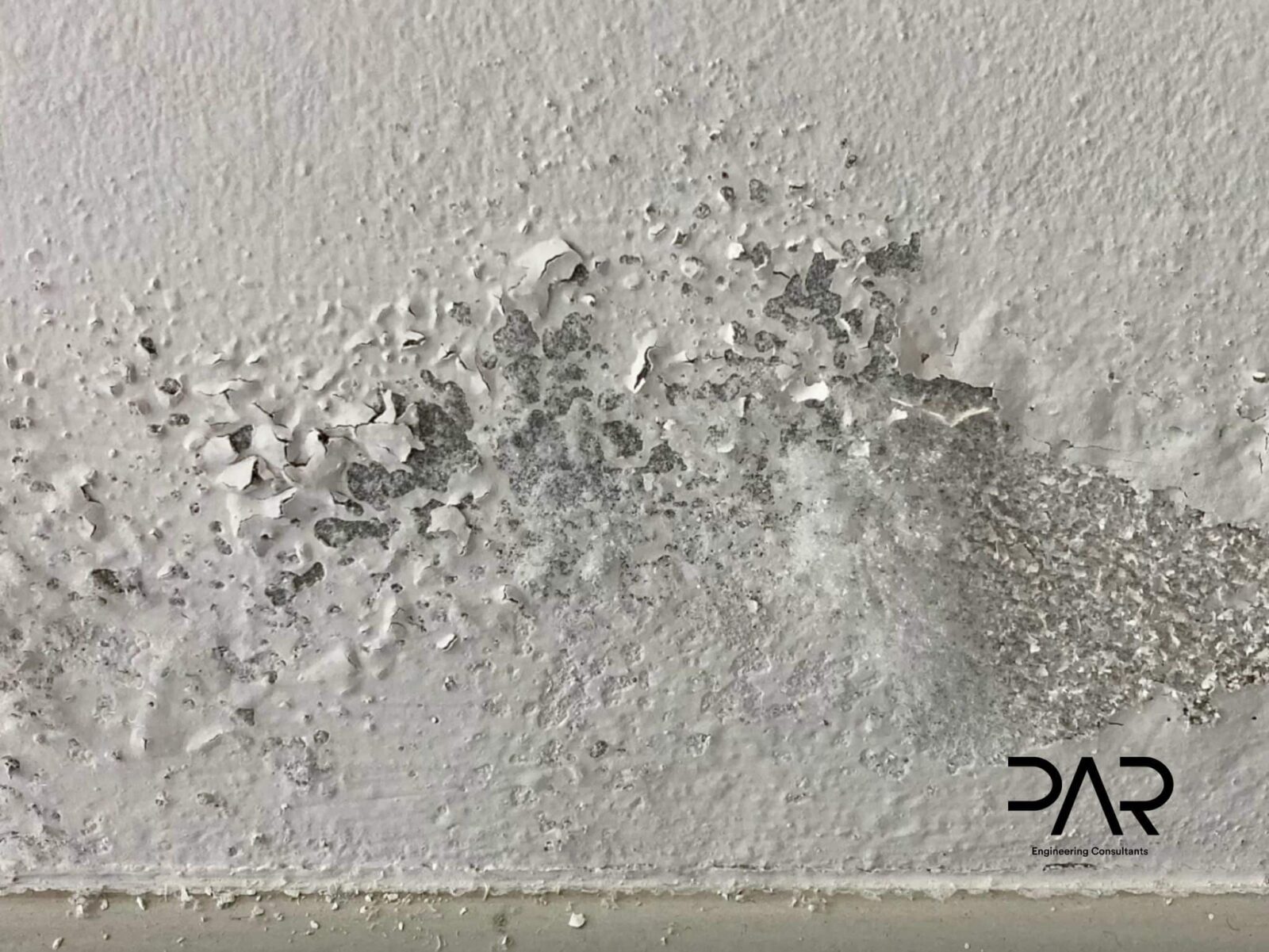 Humidade na construção – ENGIPAR - Consultores de Engenharia